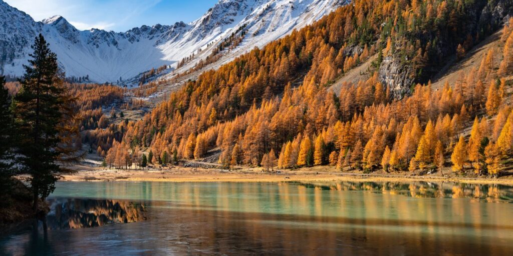 L’automne en Provence, une saison dorée dans le sud - Blog